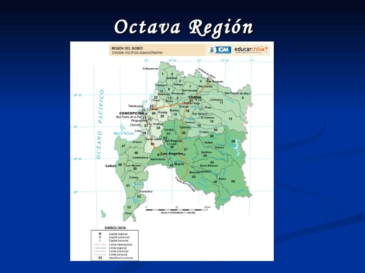 Octava region