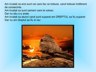 Octavianpaler Am Invatat | PPT