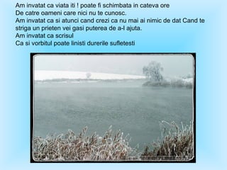 Octavianpaler Am Invatat | PPT