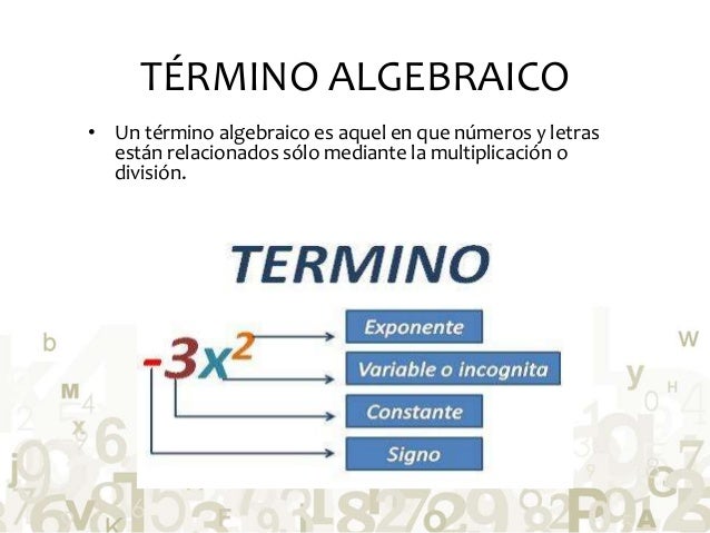 OCTAVO BÁSICO CLASE 2 PARTES DE UN TÉRMINO ALGEBRAICO.pptx