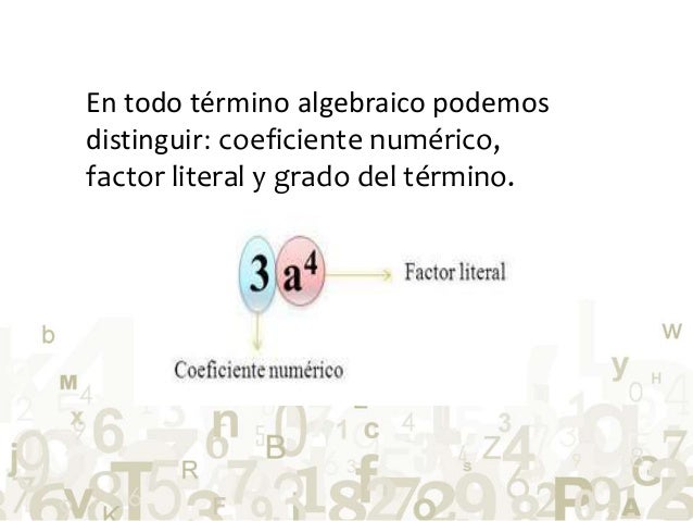 OCTAVO BÁSICO CLASE 2 PARTES DE UN TÉRMINO ALGEBRAICO.pptx