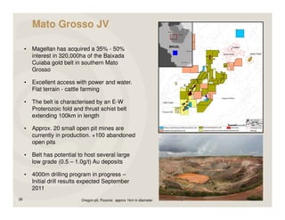 Magellan Minerals Corporate Presentation | PDF