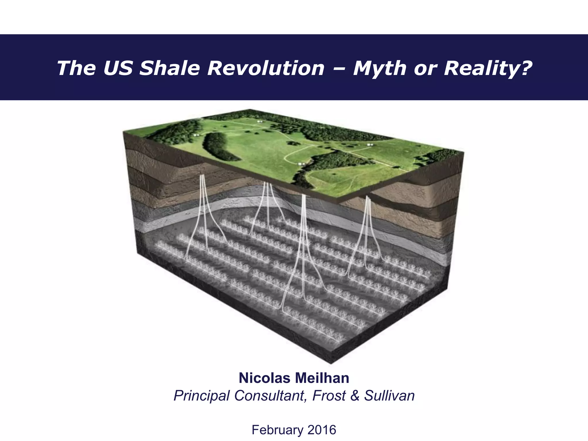 The Shale Revolution - Myth or Reality? | PDF