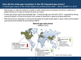 The Shale Revolution - Myth or Reality? | PDF
