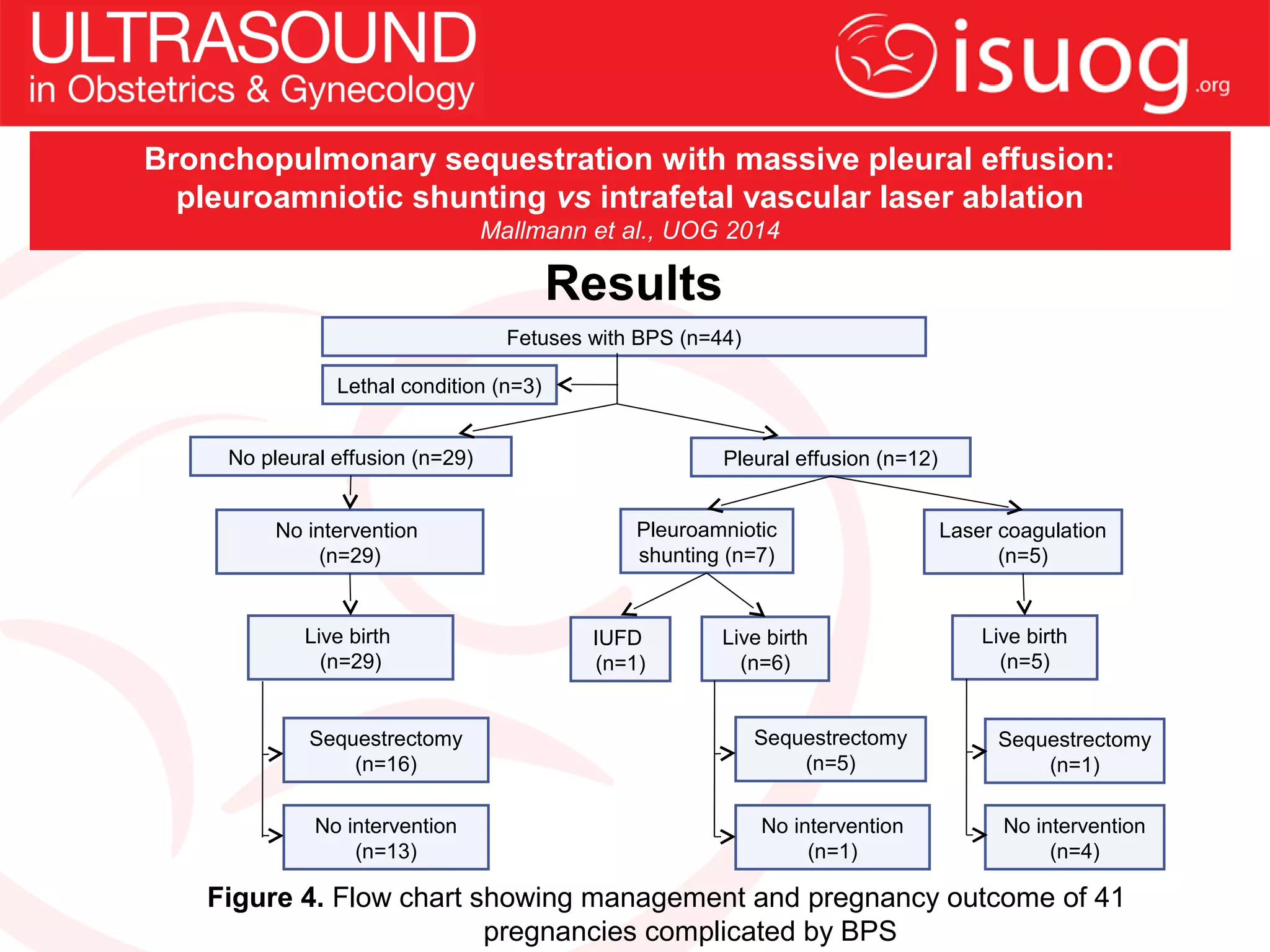 UOG Journal Club: Bronchopulmonary sequestration with massive pleural ...