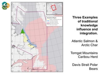 Traditional Knowledge and Decision Making | PPT