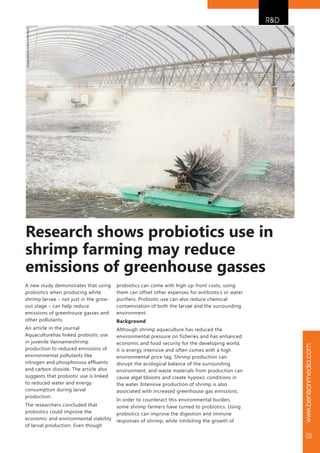 Think Grain Think Feed October issue 19 | PDF