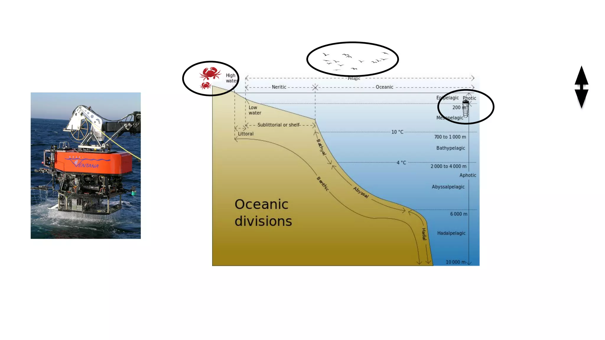 Unseen: Microplastics Research & Solutions | PDF