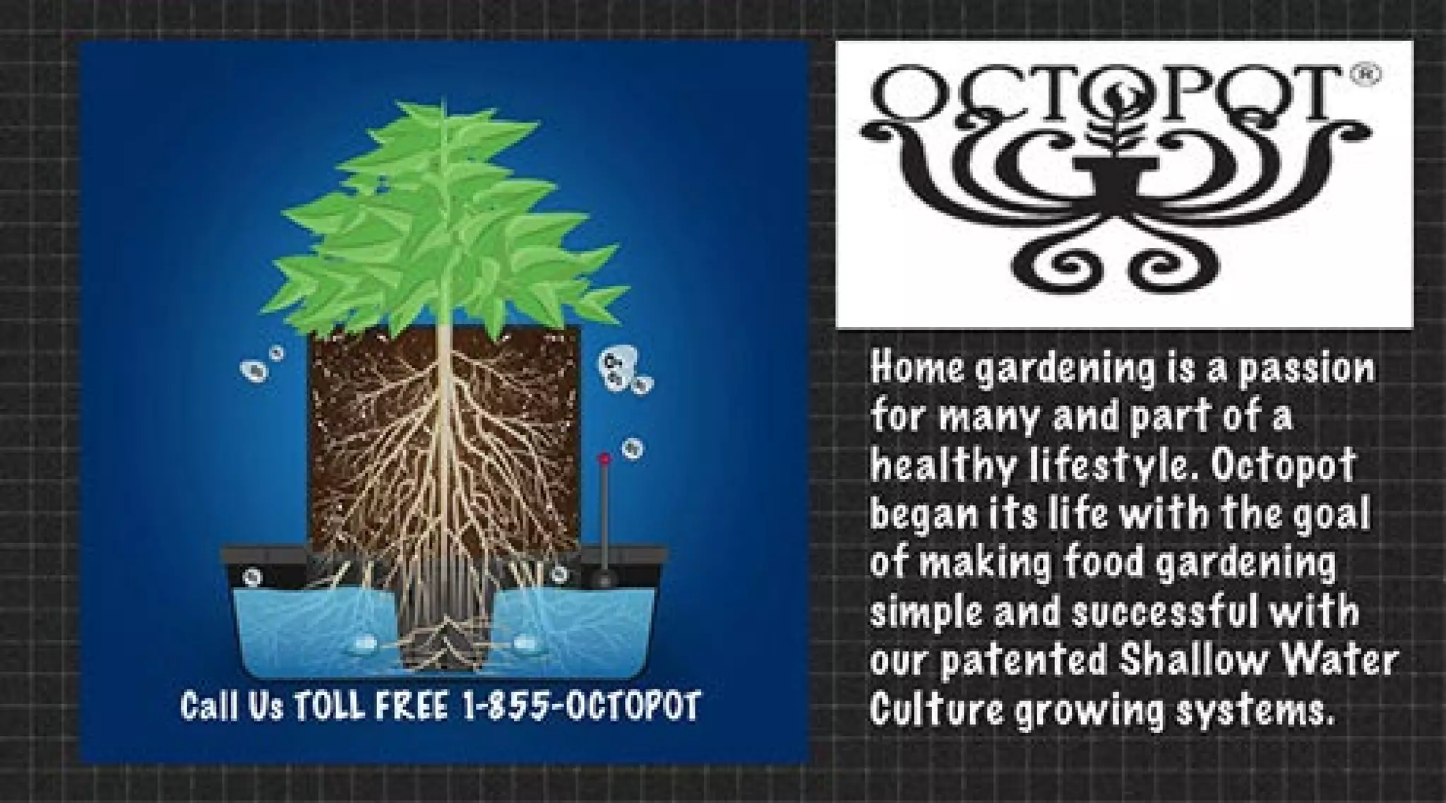 Octopot card | PDF