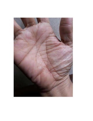 Octopus hal headline from giftmarkers . | PDF