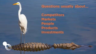Octopus intelligence intro | PDF