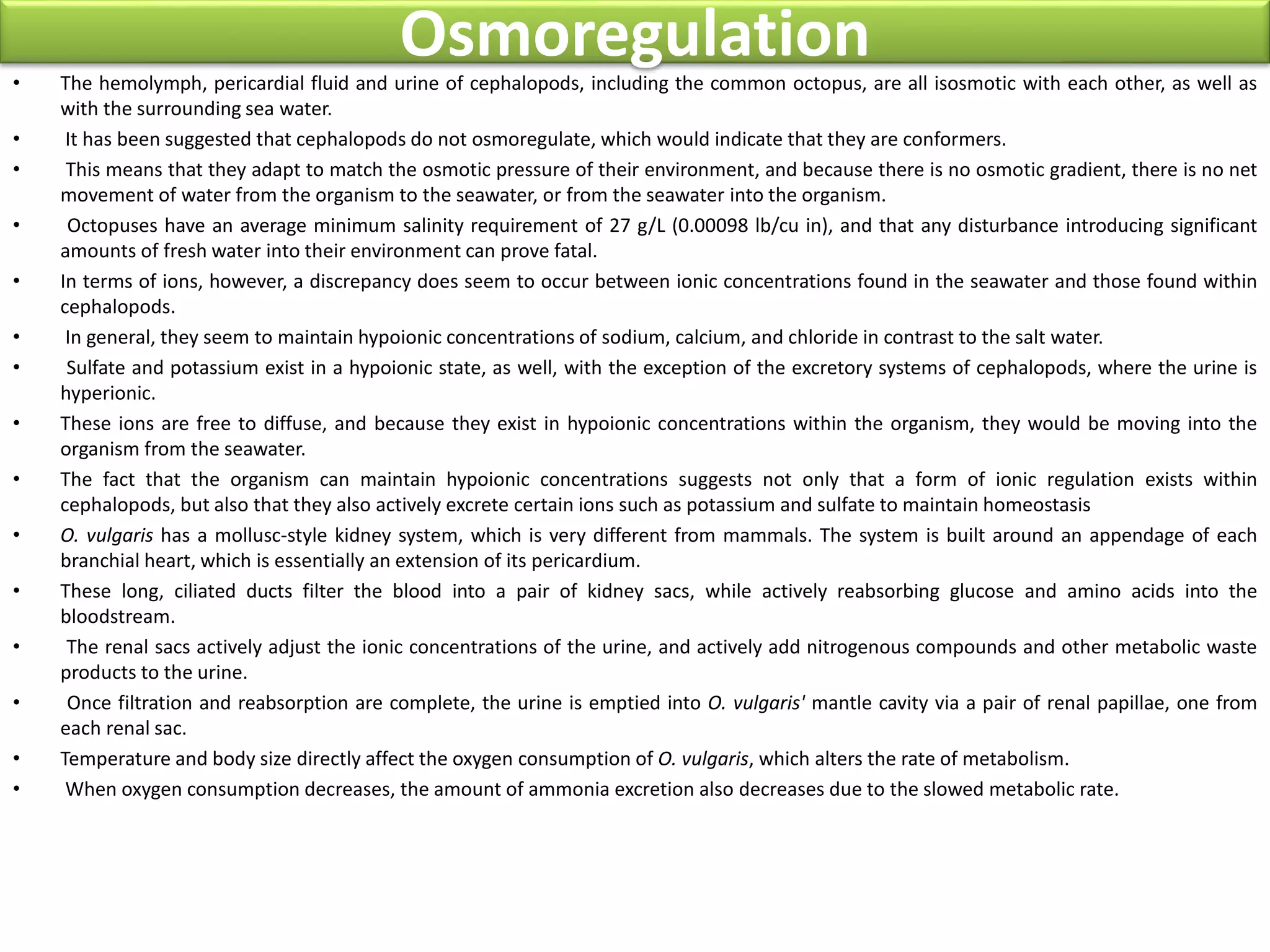 Octopus taxonomy and Biology.pptx