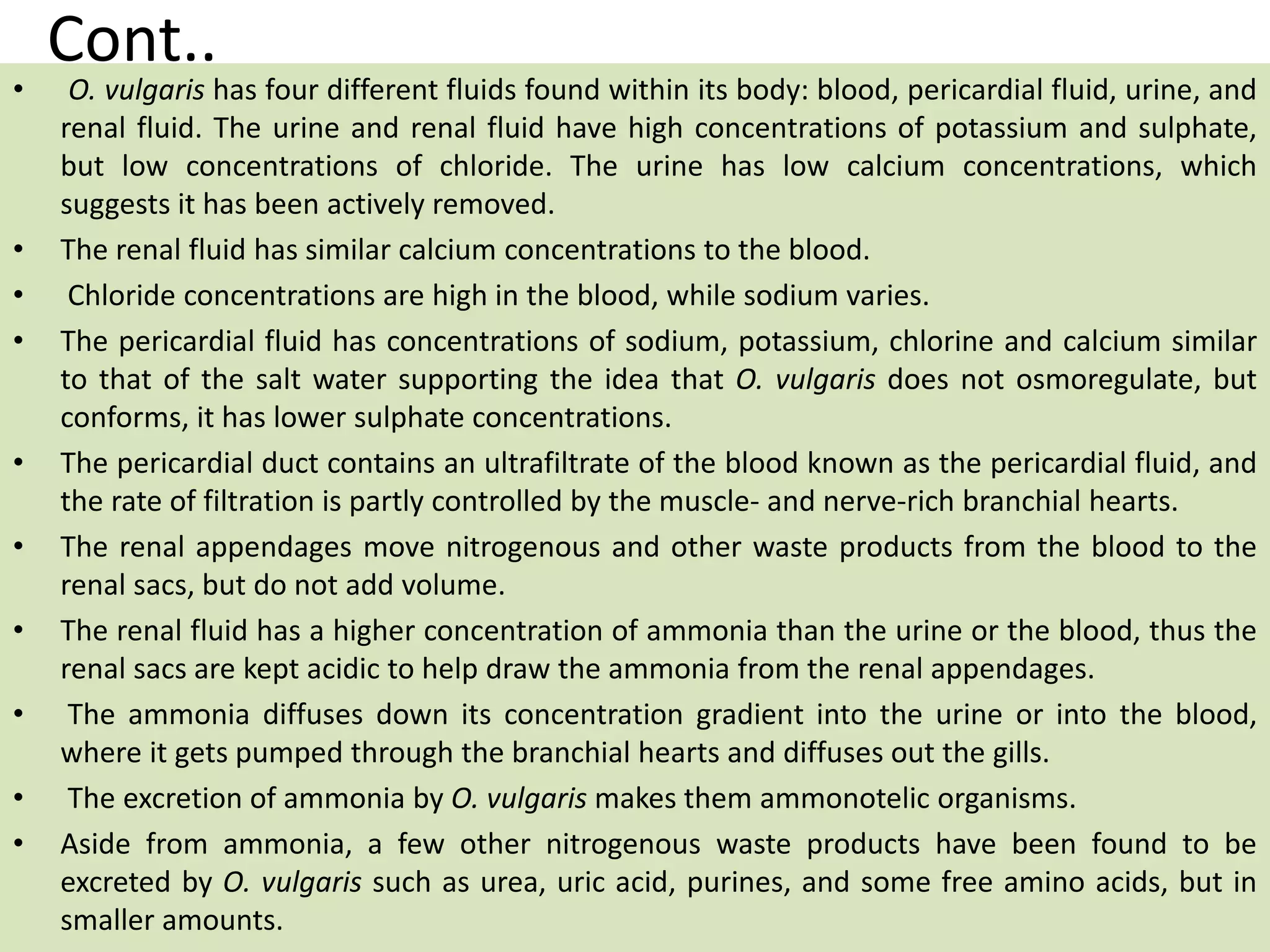 Octopus taxonomy and Biology.pptx