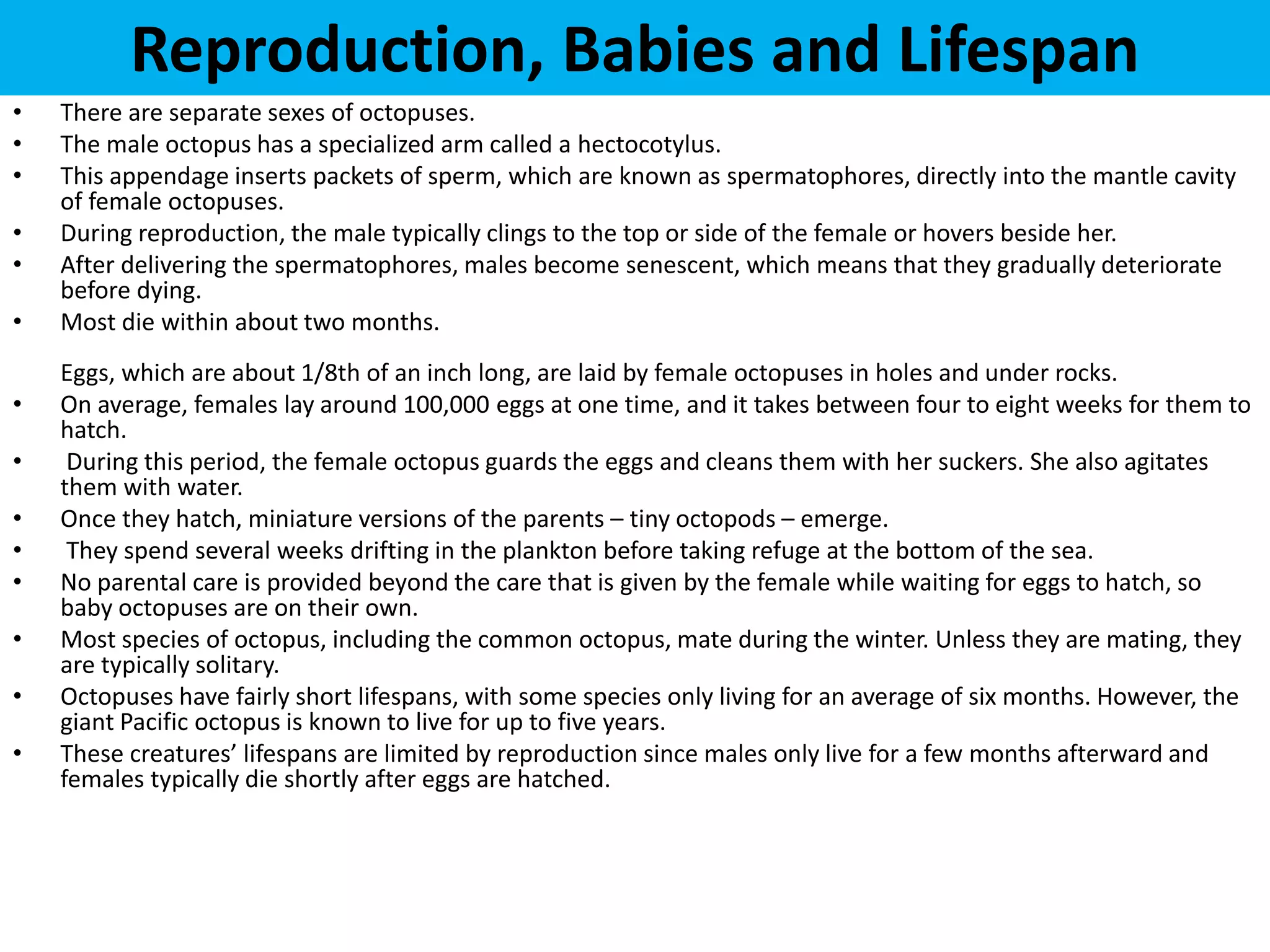 Octopus taxonomy and Biology.pptx