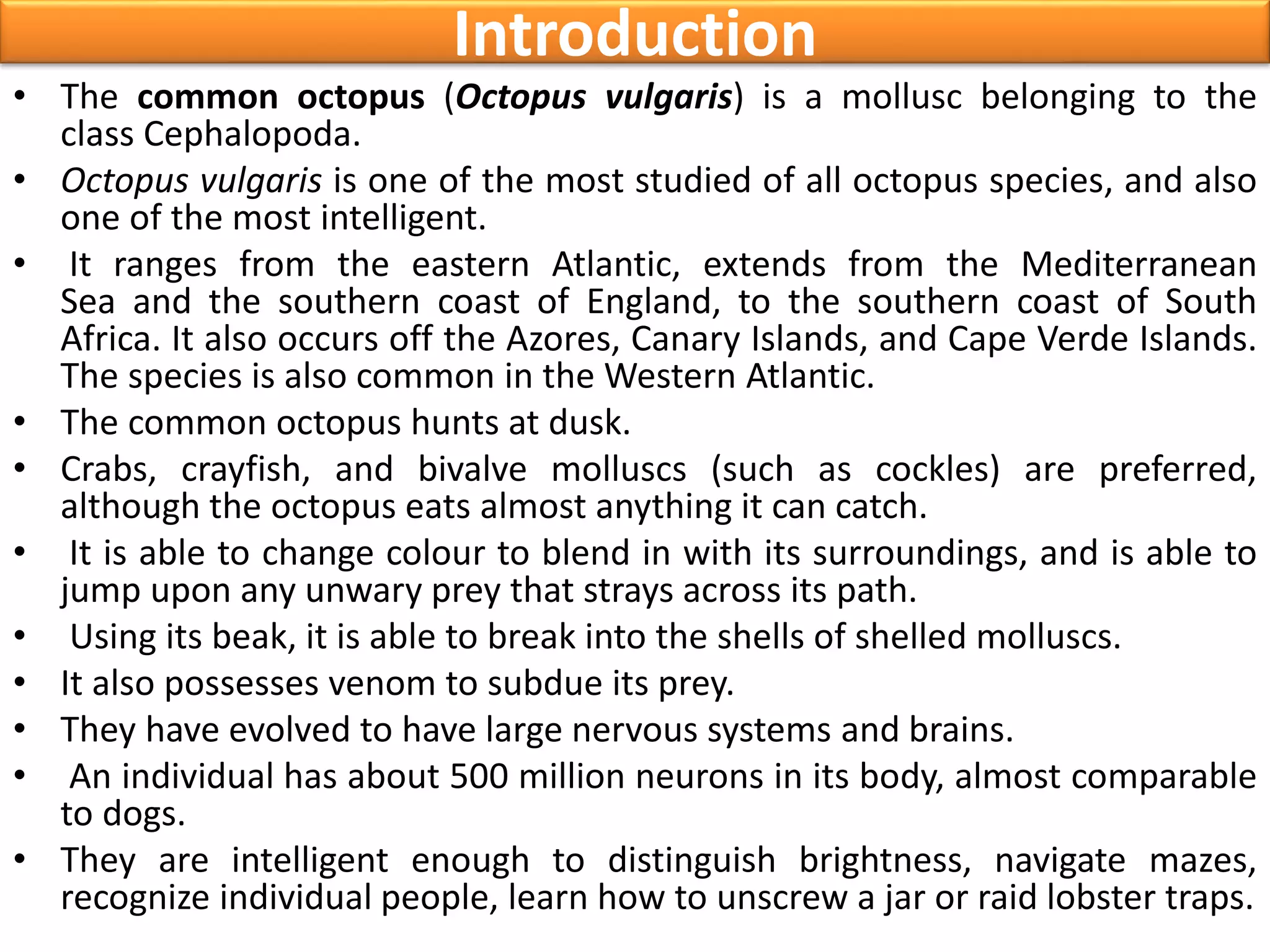 Octopus taxonomy and Biology.pptx