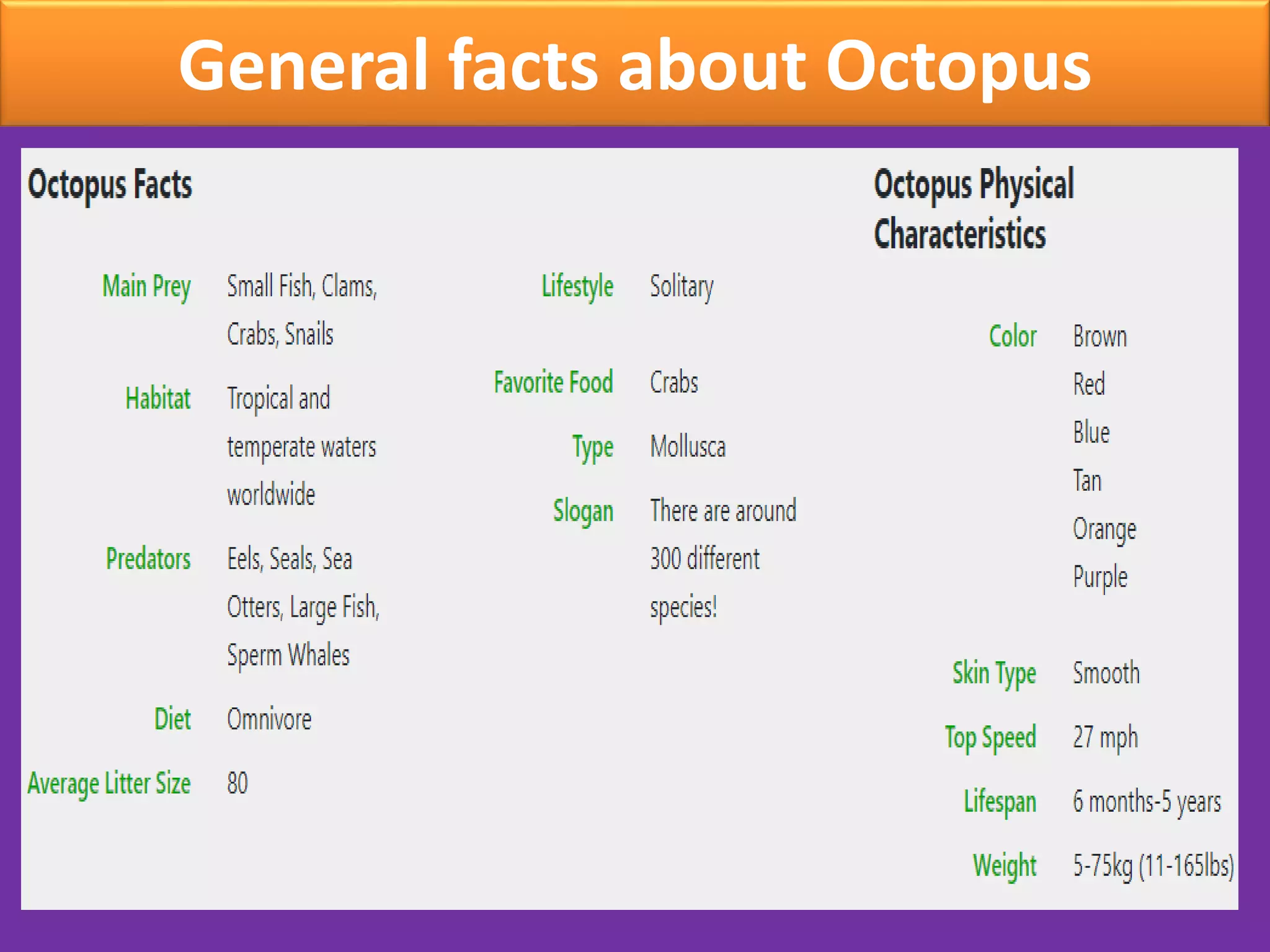 Octopus taxonomy and Biology.pptx