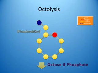 Octose Assignment | PPTX