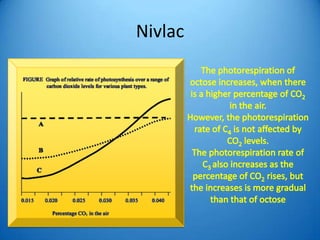 Octose Assignment | PPTX