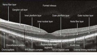 oct presentation.pptx