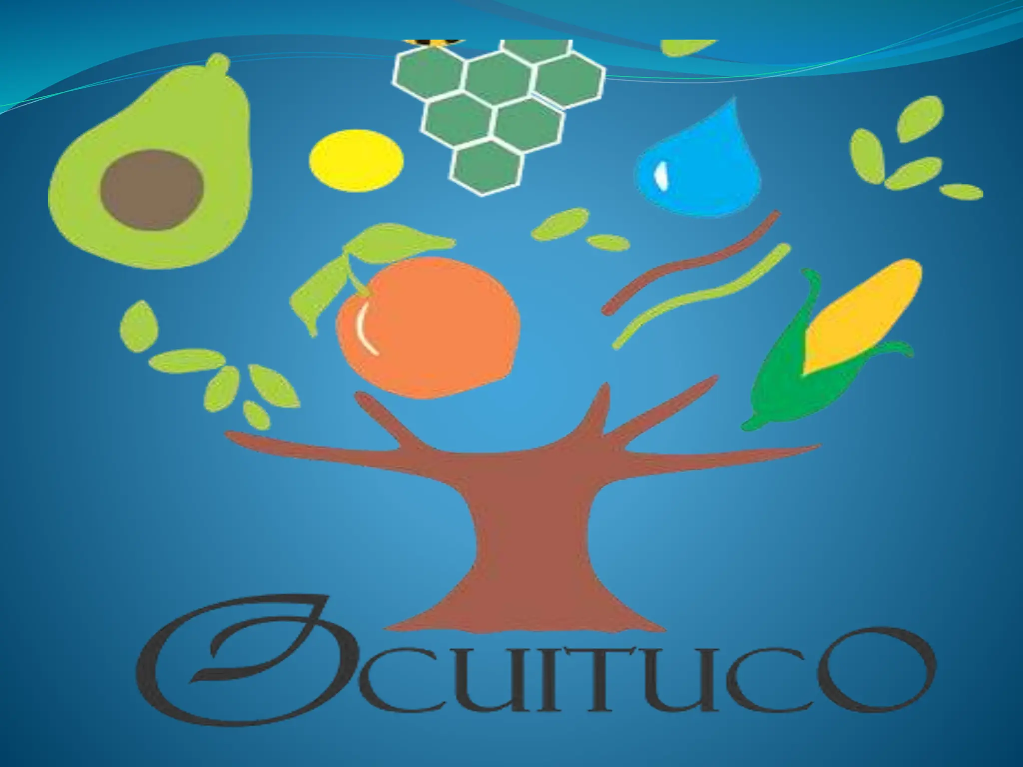 Datos sobre ocuituco, todo sobre su cultura, tradiciones y costumbres | PDF