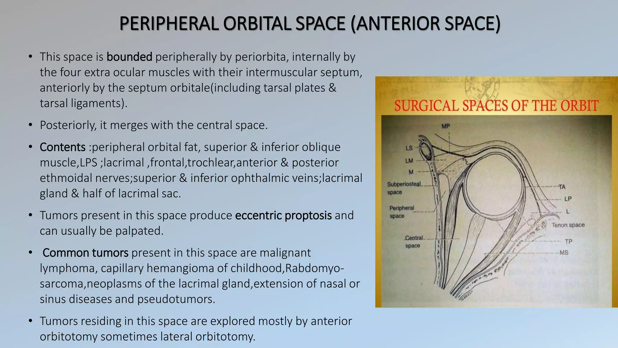 Ocular anaesthesia by dr.roopashree.c .r | PPTX