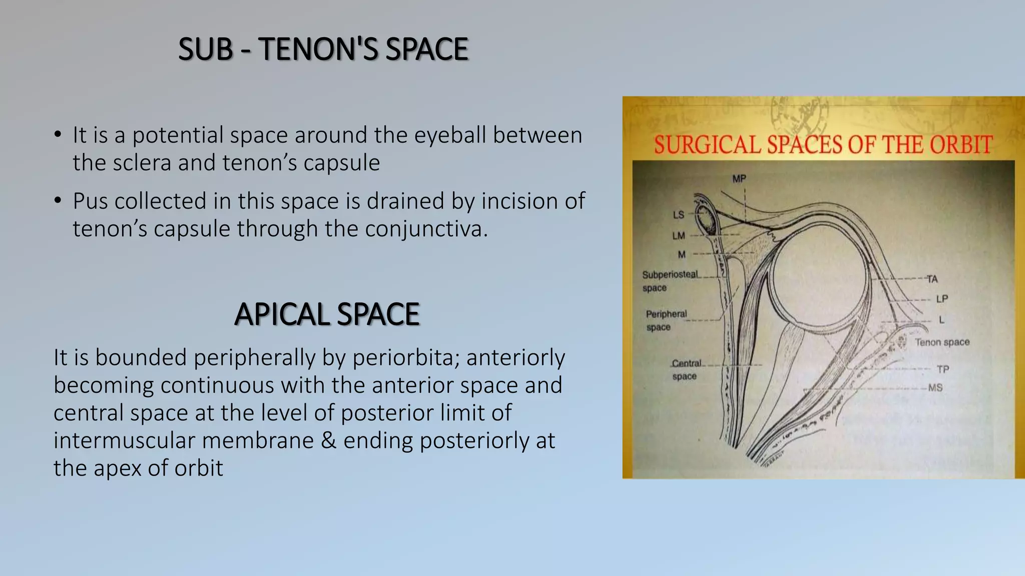 Ocular anaesthesia by dr.roopashree.c .r | PPTX