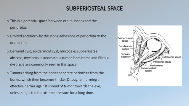 Ocular anaesthesia by dr.roopashree.c .r | PPTX