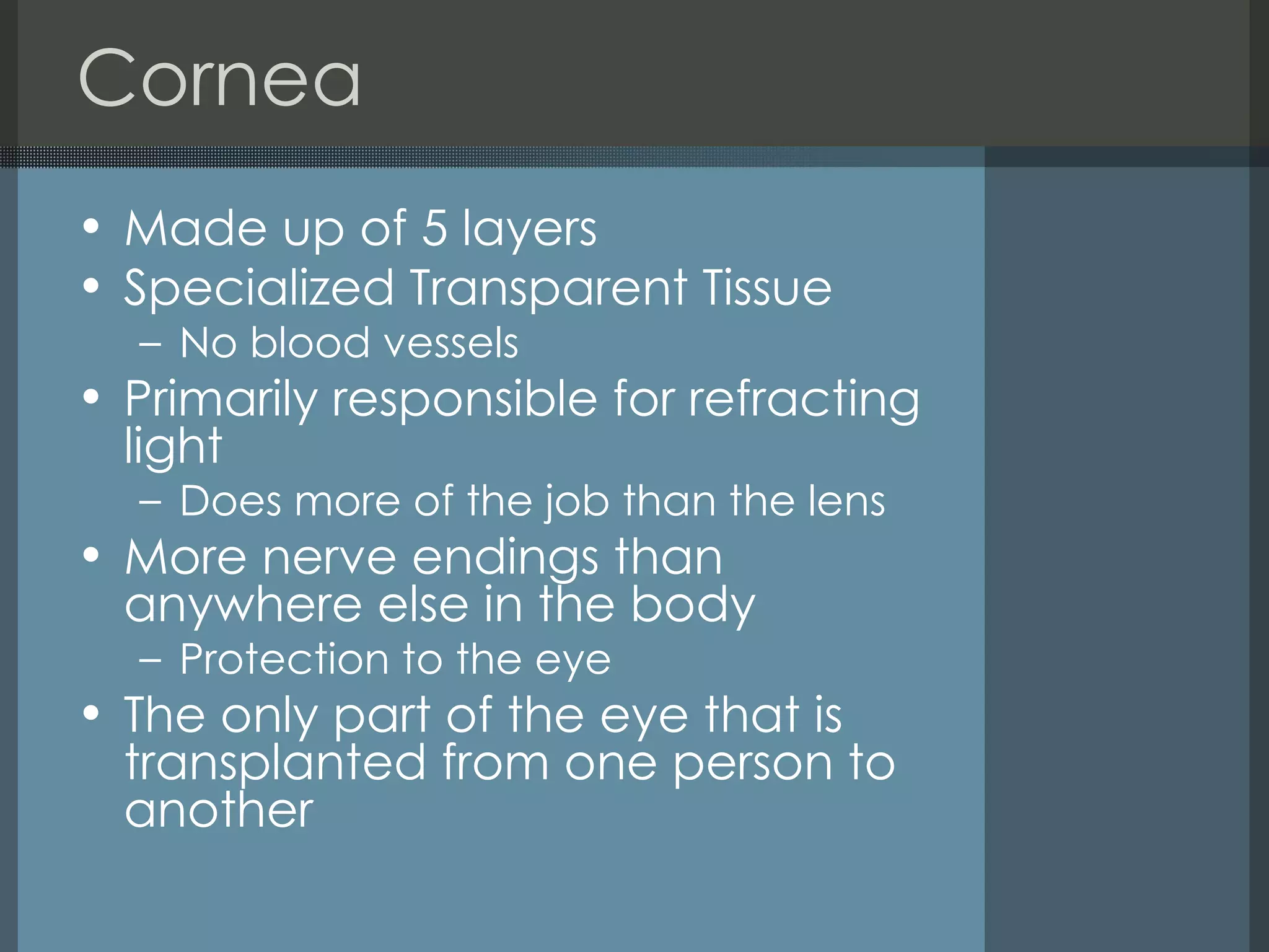 Ocular Anatomy | PPT