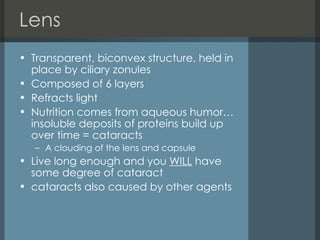 Ocular Anatomy | PPT