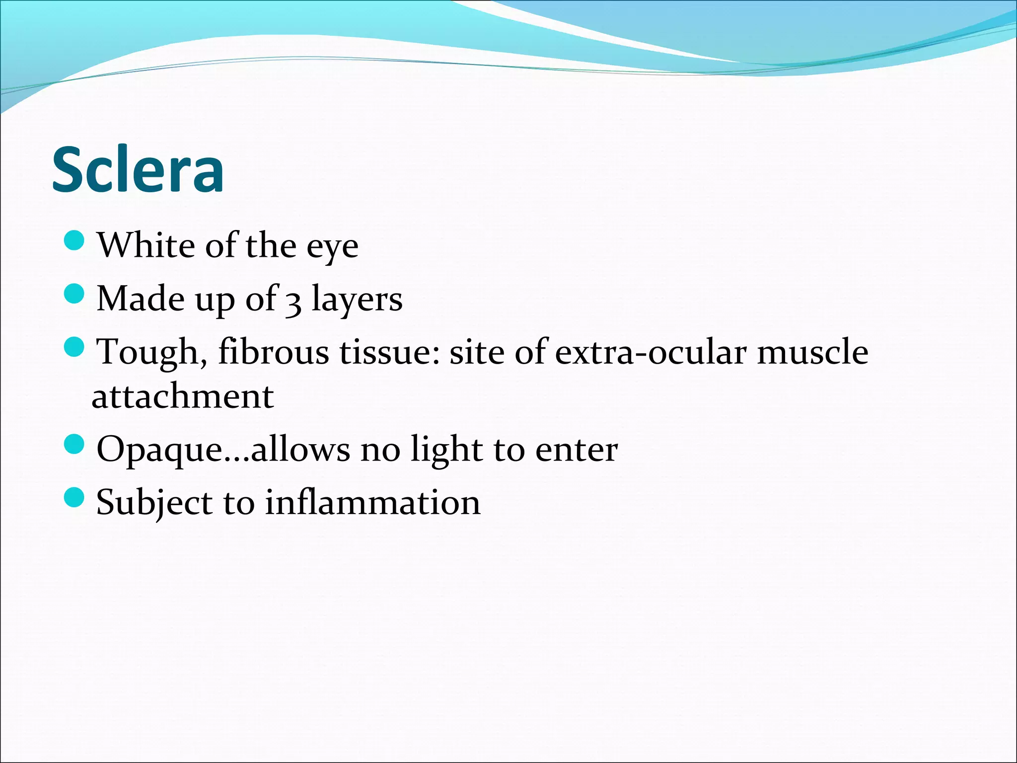 Ocular anatomy | PPT