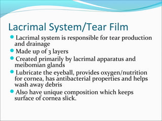 Ocular anatomy | PPT