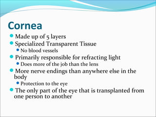 Ocular anatomy | PPT