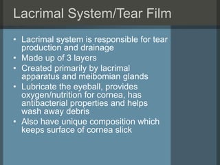 Ocular Anatomy.ppt