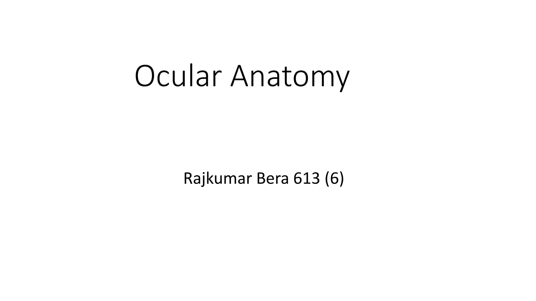 ocular_anatomy.pptx