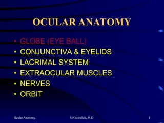 understand basic eye anatomy for undergraduates.ppt