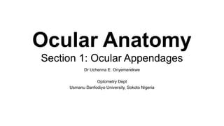 Introduction to the Ocular Anatomy part one Ocular Anatomy 1.pptx