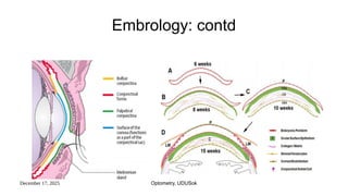 Introduction to the Ocular Anatomy part one Ocular Anatomy 1.pptx