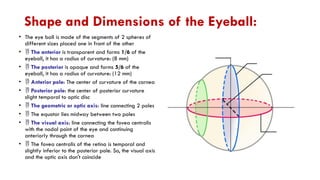 Ocular Anatomy 3 third part fromthesecondpart.pptx