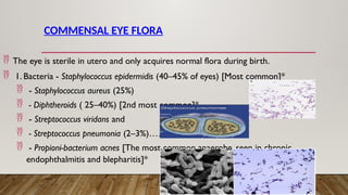ocular and ear infection in microbiological aspects.pptx