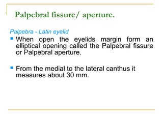 OCULAR APPENDAGES.ocular anatomy in very easy way | PPT
