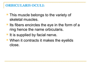 OCULAR APPENDAGES.ocular anatomy in very easy way | PPT