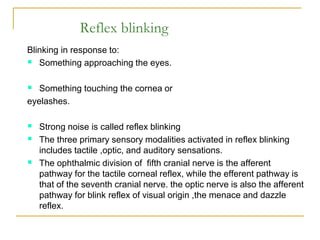 OCULAR APPENDAGES.ocular anatomy in very easy way | PPT