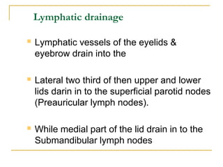OCULAR APPENDAGES.ocular anatomy in very easy way | PPT