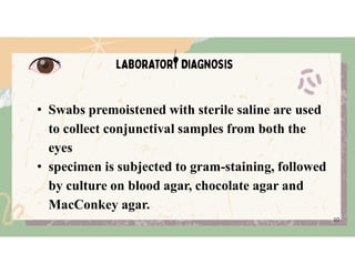 Ocular bacterial infections.pdf medical p | PDF