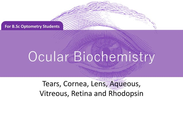 Ocular biochemistry | PDF | Eye and Vision Conditions | Diseases and ...