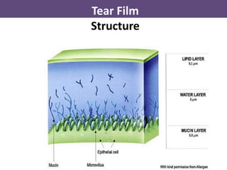 Ocular biochemistry | PDF