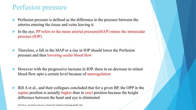 Ocular blood flow in glaucoma | PPTX | Eye and Vision Conditions ...