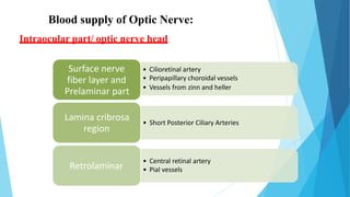 Ocular blood flow in glaucoma | PPTX