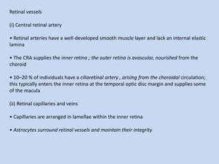 Ocular circulation | PPTX | Eye and Vision Conditions | Diseases and ...