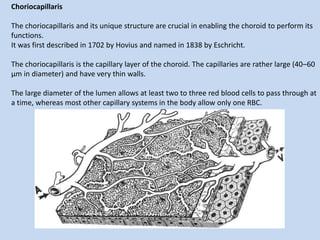 Ocular circulation | PPTX | Eye and Vision Conditions | Diseases and ...
